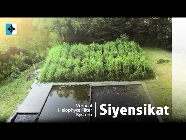 Siyensikat S05 EP 3: Vertical Helophyte Filter System | DOSTv - Science ...